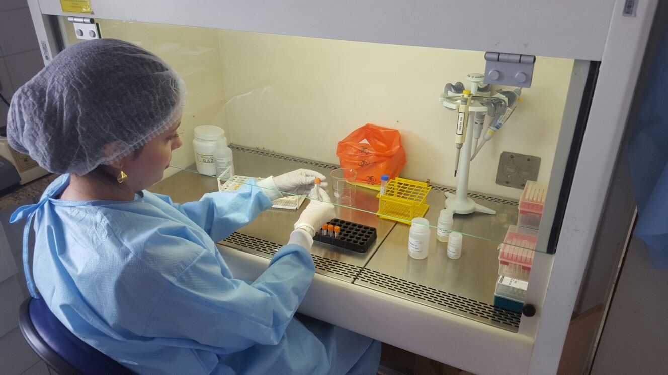 Arboviroses - Saúde divulga dados de zika e microcefalia